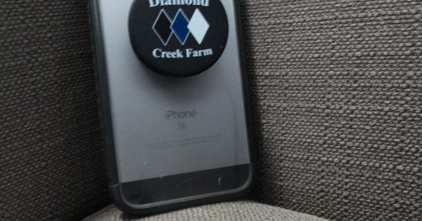 Diamond Creek Pop Socket | Diamond Creek Farm