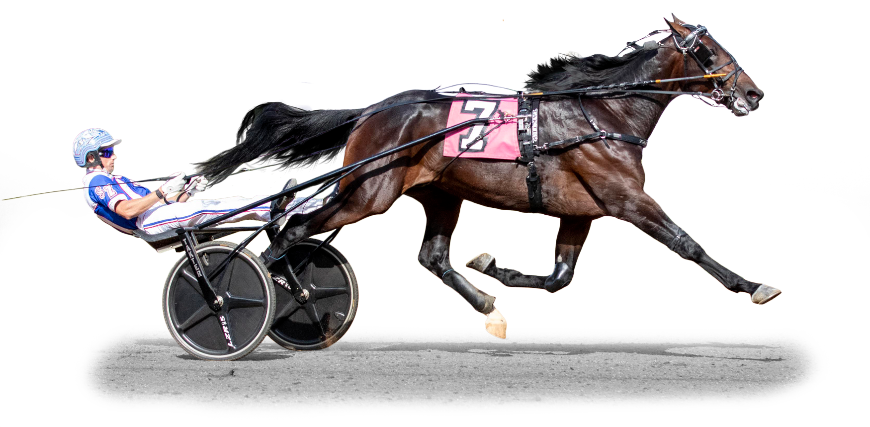 Tactical Approach | Diamond Creek Farm